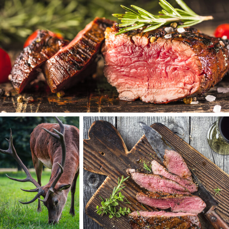 Produkter - Viltbilen & Gläntan AB